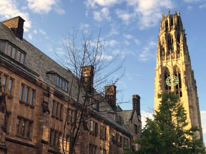 Ask Yourself This Question Every Day - Philosophy News